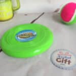 Mini frisbee (10cm)